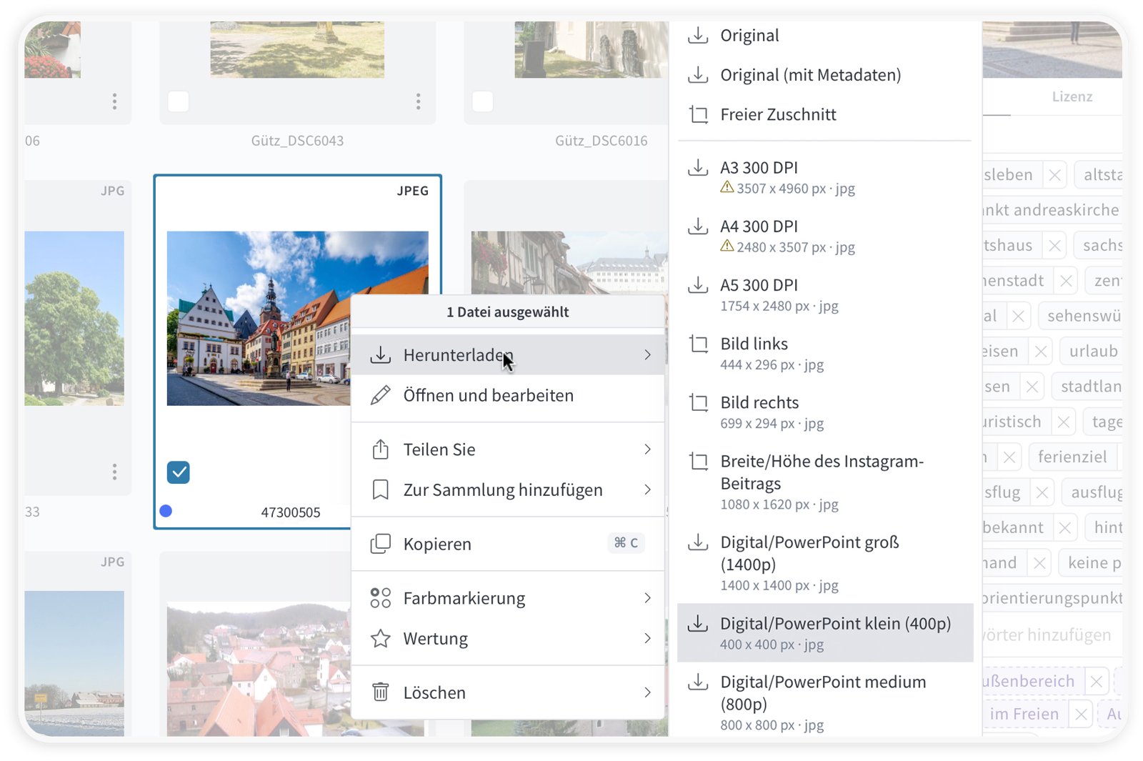 Mansfeld-Südharz | Mediaflow